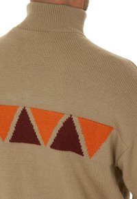 SOS Pullover - pine bark/beige - ZALANDO.FR
