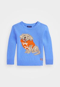 Polo Ralph Lauren DOG INTARSIA COTTON SWEATER - Stickad tröja - harbor ...