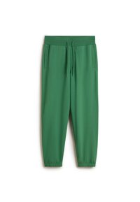 Vans ORIGINAL STANDARDS - Tracksuit bottoms - fairway/green - Zalando