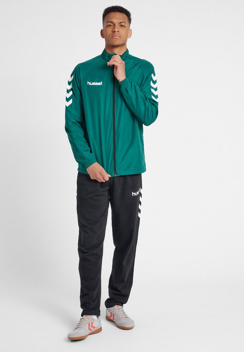 Hummel CORE MICRO ZIP - Training jacket - evergreen/green - Zalando