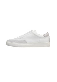 Strellson Premium Sneakers laag - offwhite/crème - Zalando.nl