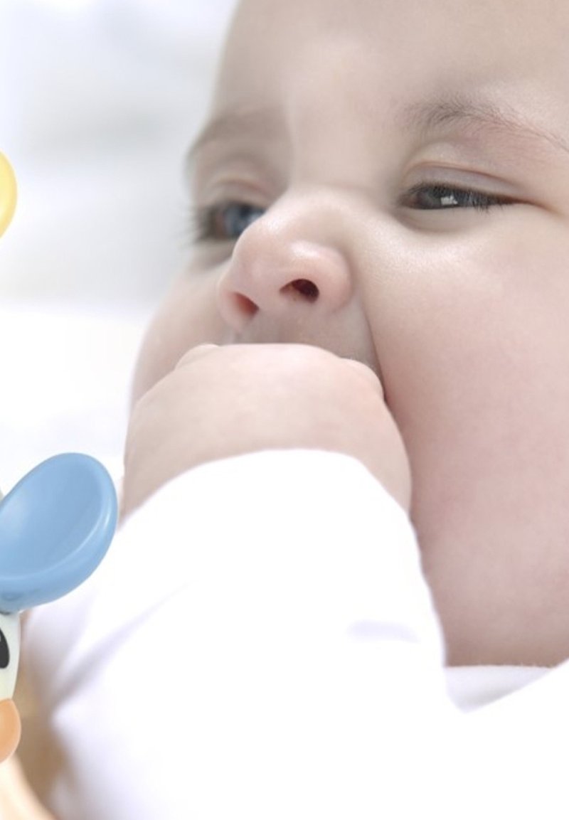 Tolo Toys MOUSE RATTLE - NIEDLICHE MAUSRASSEL - Speelgoed - multi ...