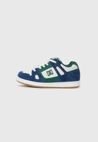 DC Shoes STAG UNISEX - Baskets basses - navy/white/green/bleu - ZALANDO