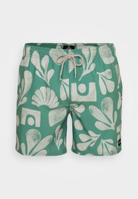 Rip Curl FUN TIMES VOLLEY - Swimming shorts - green - Zalando.ie