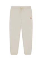 Dickies MAPLETON - Tracksuit bottoms - whitecap gray/beige - Zalando