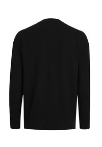 Felix Hardy CLASSIC CREW NECK SWEATER - Svetr - black/černá - Zalando.cz