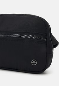 ALDO ALWAYSON - Ľadvinka - black/čierna - Zalando.sk