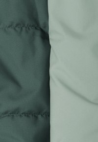 Jack Wolfskin TRAIL LIGHT INS 2IN1 - Waistcoat - green zinnia/green ...