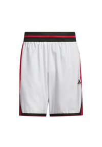 adidas Performance CRAZYLITE SHORT - Sports shorts - dash grey pure ...