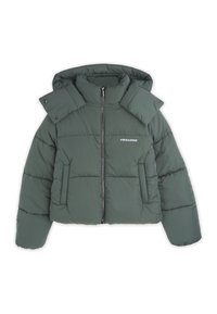 Pegador VANATI CRUSHED PUFFER JACKET - Winter jacket - garden green ...