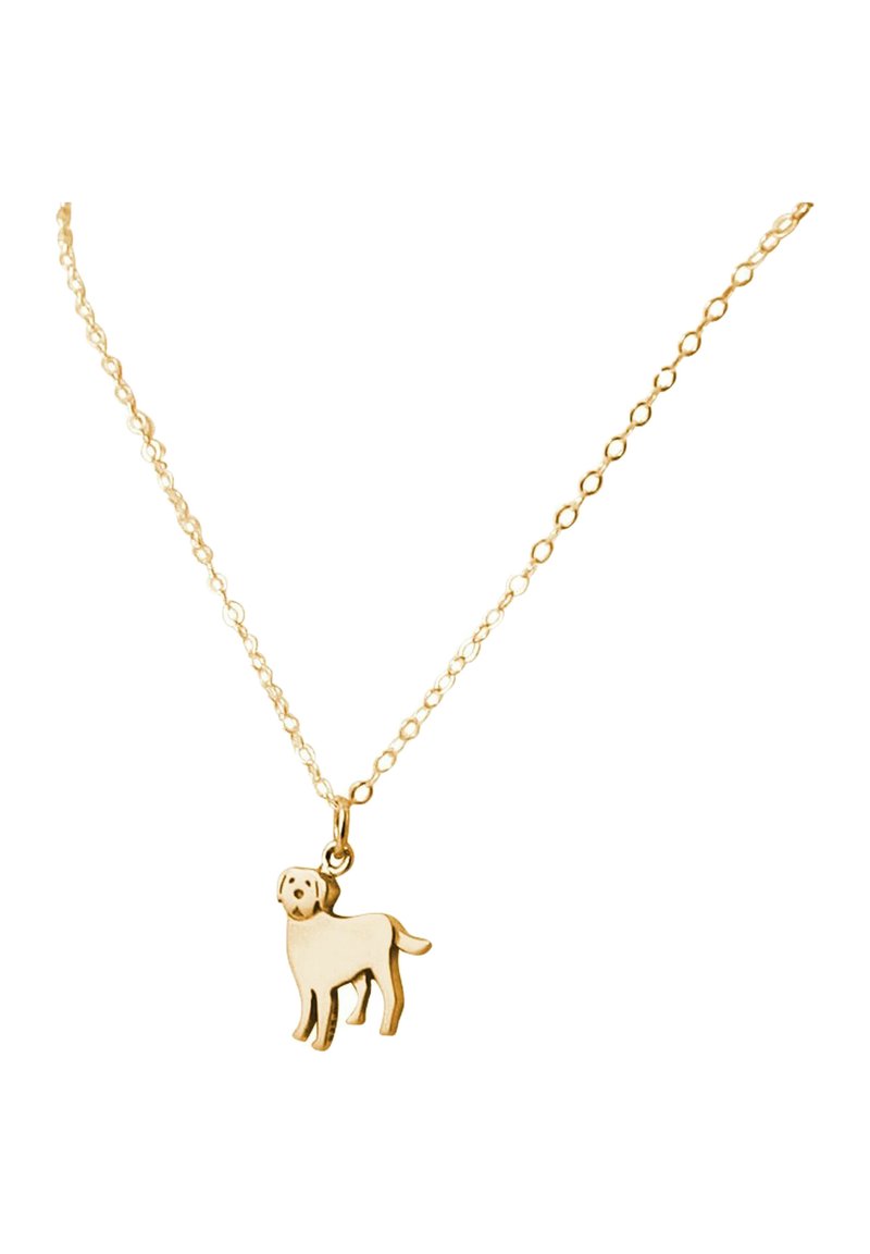 Gemshine LABRADOR GOLDEN RETRIEVER HUND - Collar - gold-coloured/dorado ...
