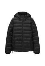 PULL&BEAR WEIGHT HOODED - PUFFER - Winterjas - black/zwart - Zalando.be
