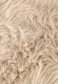 Nukus Winter jacket - sand/beige - Zalando