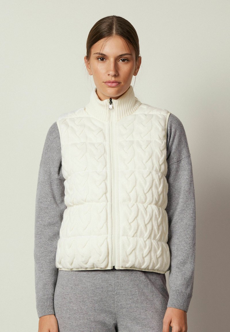 Xenocyon Falconeri Rome