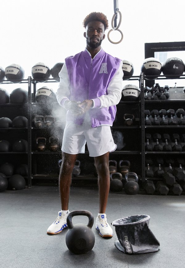 adidas Performance TRAIN ICONS 3 STRIPES - Korte broeken - silver ...