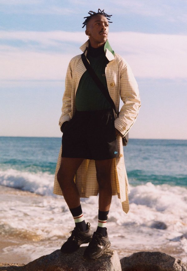 Lacoste Sweatshirt - vert/green - Zalando.co.uk