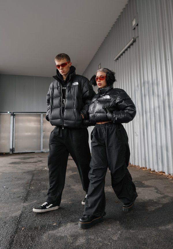 The North Face ANORAK - Winterjacke - black/schwarz - Zalando.ch
