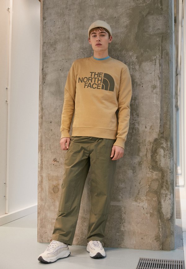 The North Face RAGLAN CREW - Sudadera - gardenia white/crema - Zalando.es